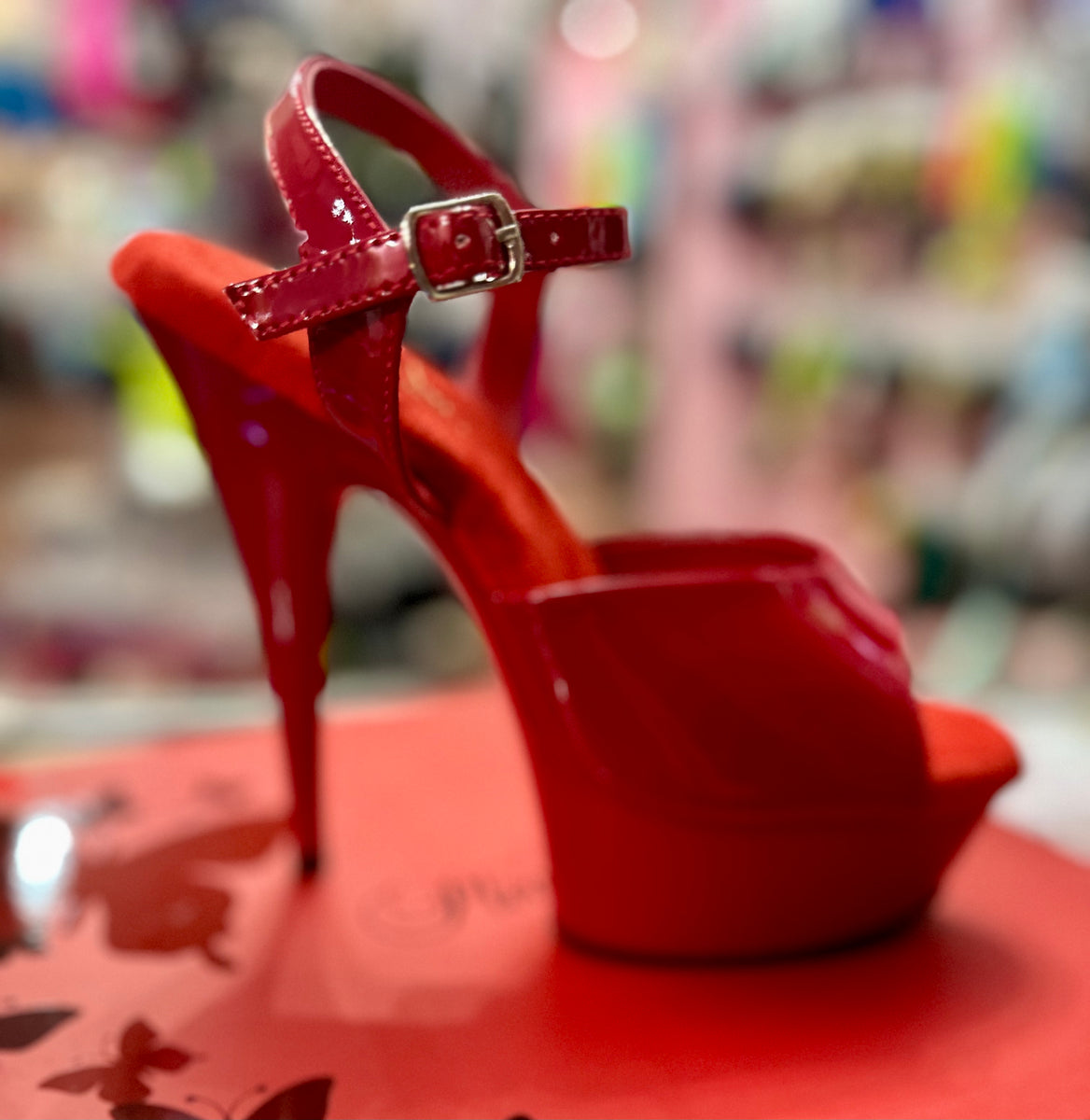 Delight 609 – The Chocolate Walrus